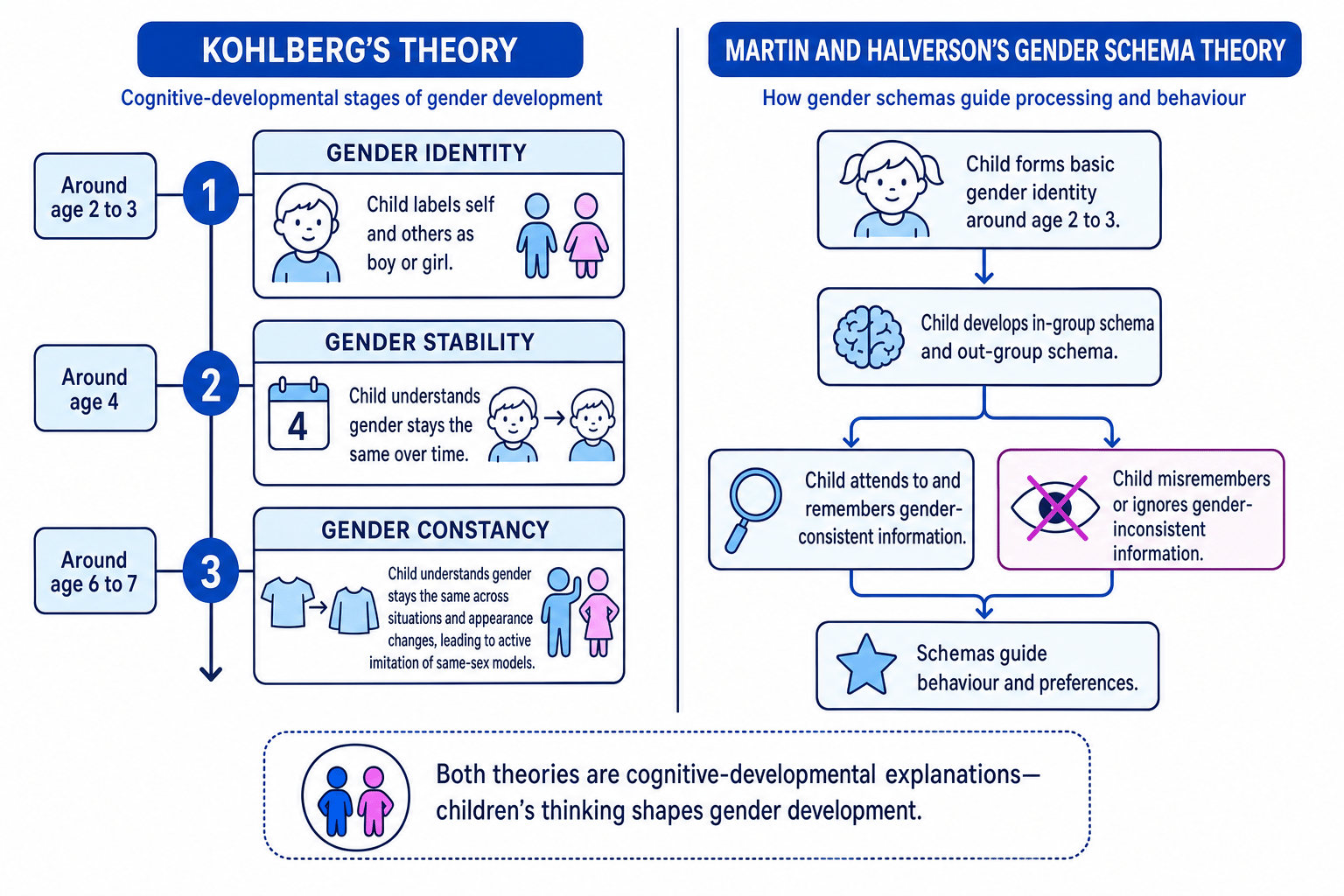 Cognitive explanations of gender development - A Level Psychology ...